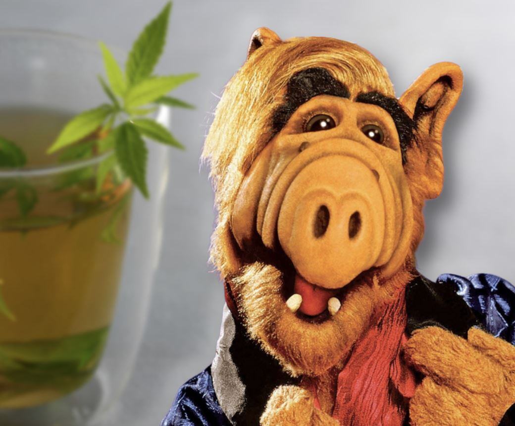 Alf, the infamous Cat-Eating Alien, caught sipping Marijuana tea on-screen!